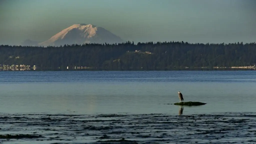 Fall Wanderlust: A True Taste of Whidbey Island | Sip Magazine