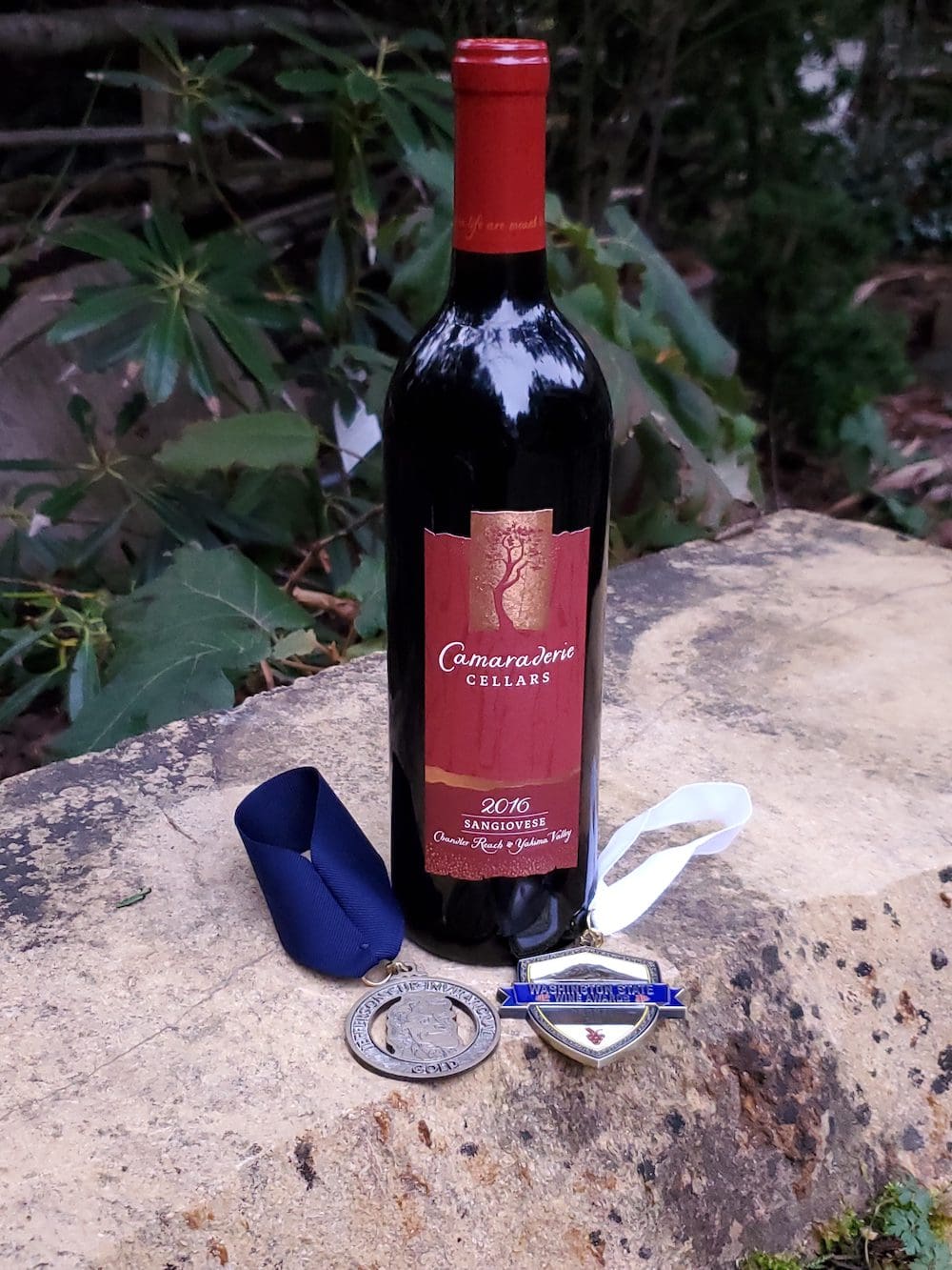 A Taste of La Dolce Vita through PNW Sangiovese | Sip Magazine