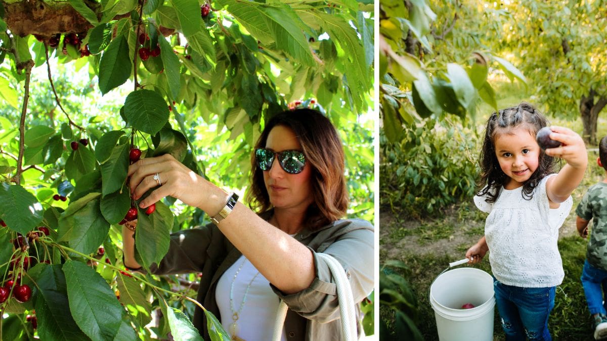How to Kick Off Summer in the Yakima Valley | Sip Magazine