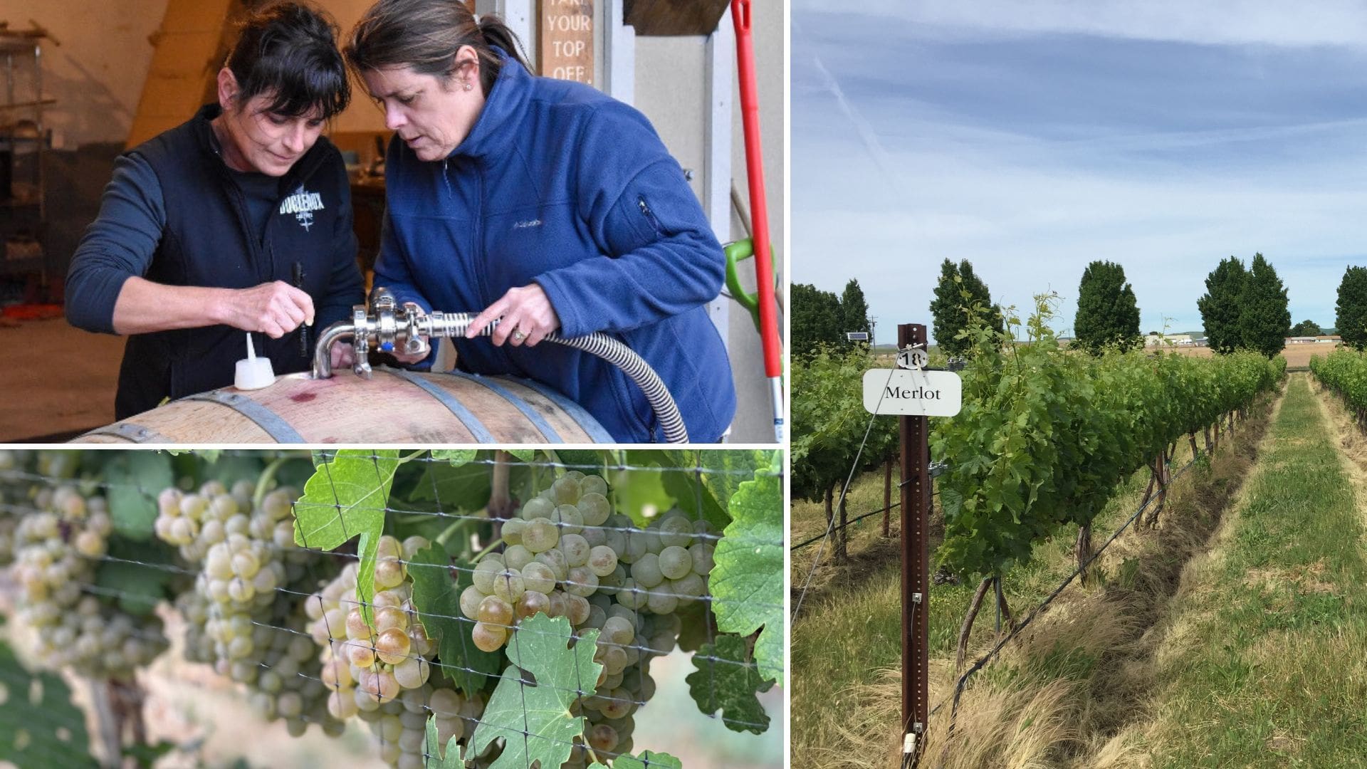 Toby Turlay’s ever-evolving craft at Ducleaux Cellars | Sip Magazine