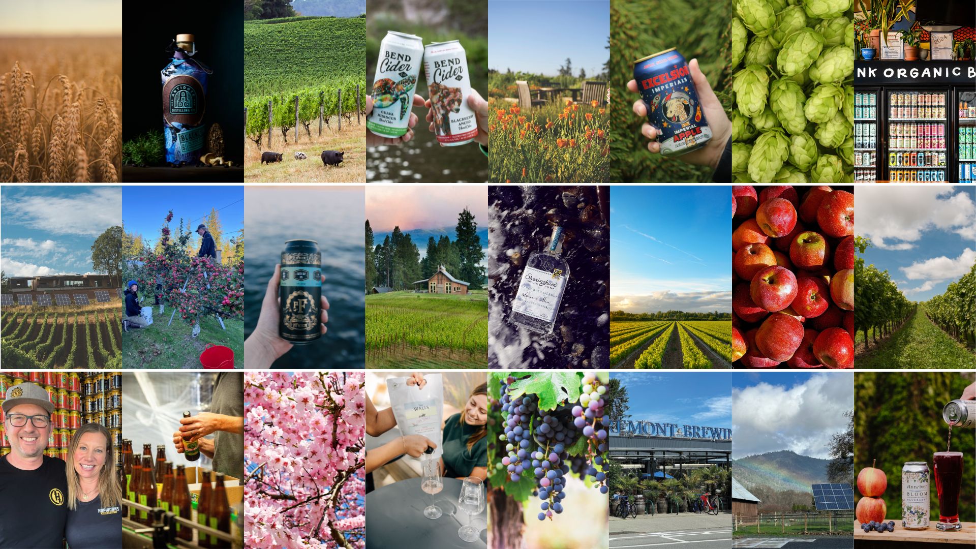 The Love Shack, A New Cocktail Bar from The Team at G-Love, Opens in ...