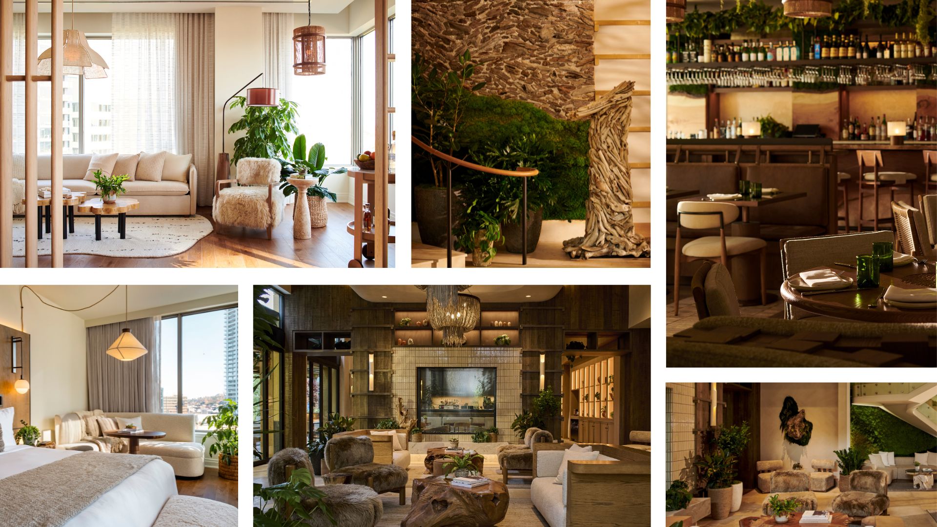 Now Open: 1 Hotel Seattle—A Sustainable Urban Retreat - Sip Magazine