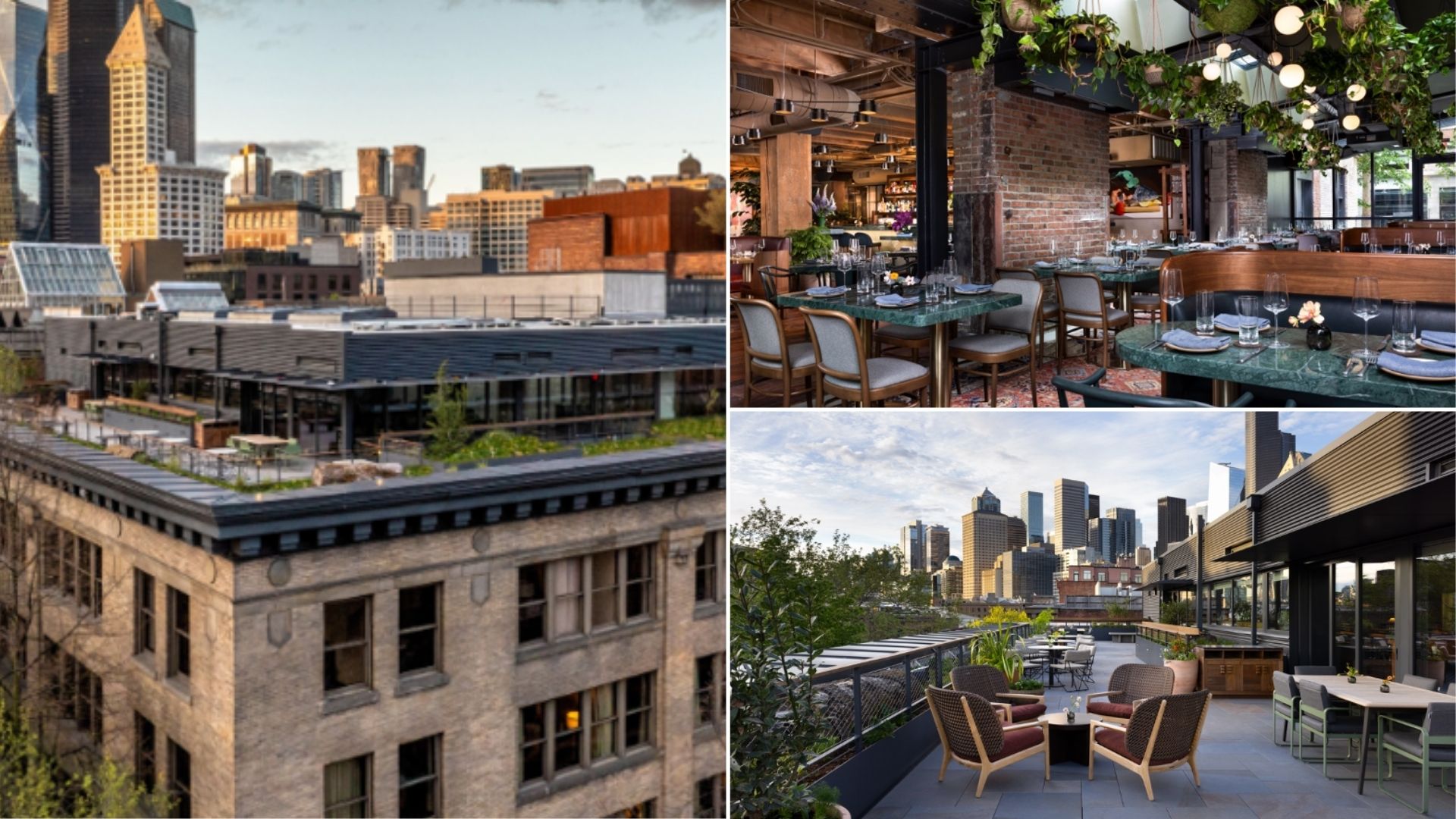 Salt Harvest and Firn are Now Open at Populus Seattle - Sip Magazine